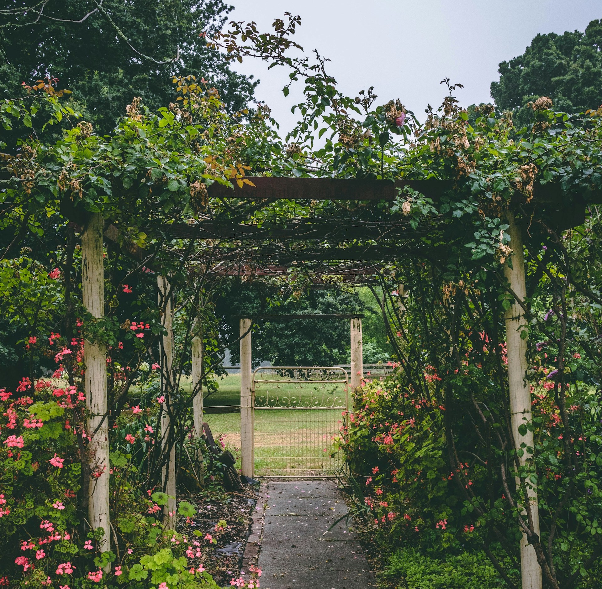 Notable Cases | BONSU V HMRC | Patrick Cannon